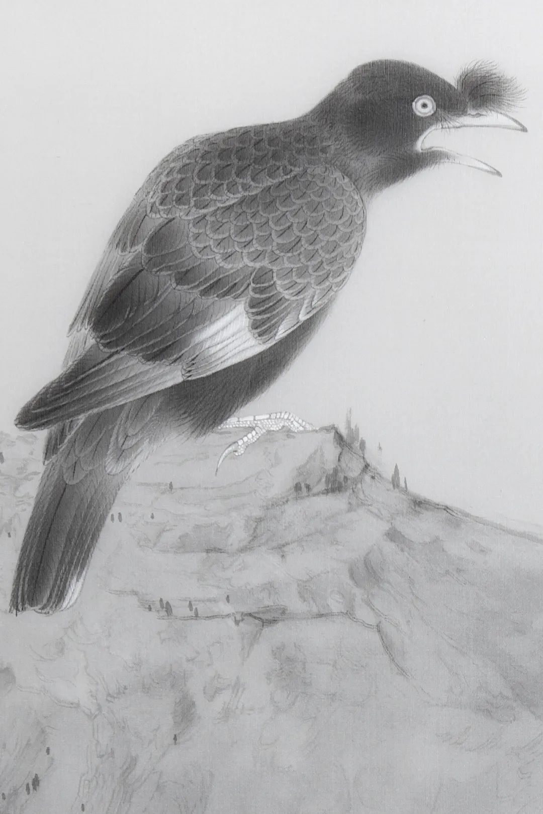 Zheng Luxun's Ink Flowers and Birds - Detailed steps of "Qiao Er Nao ...