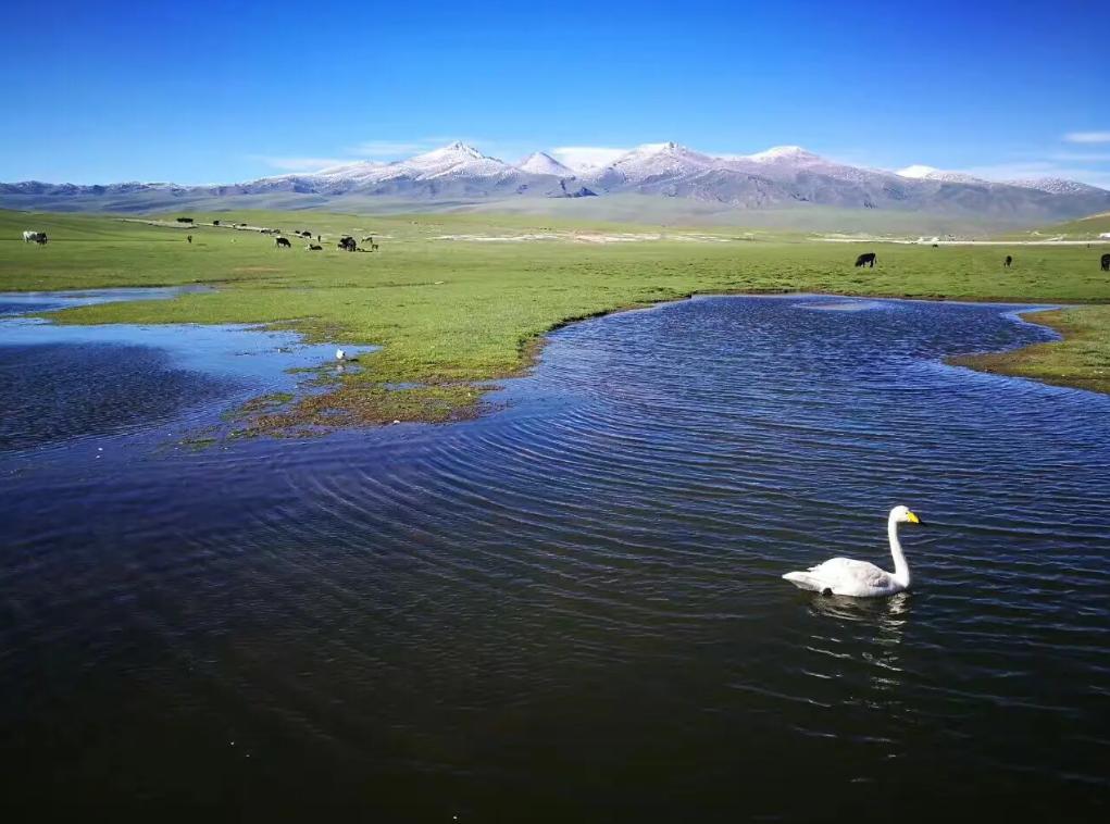 Guide to visiting Bayinbuluke Scenic Area! Ticket prices, route ...