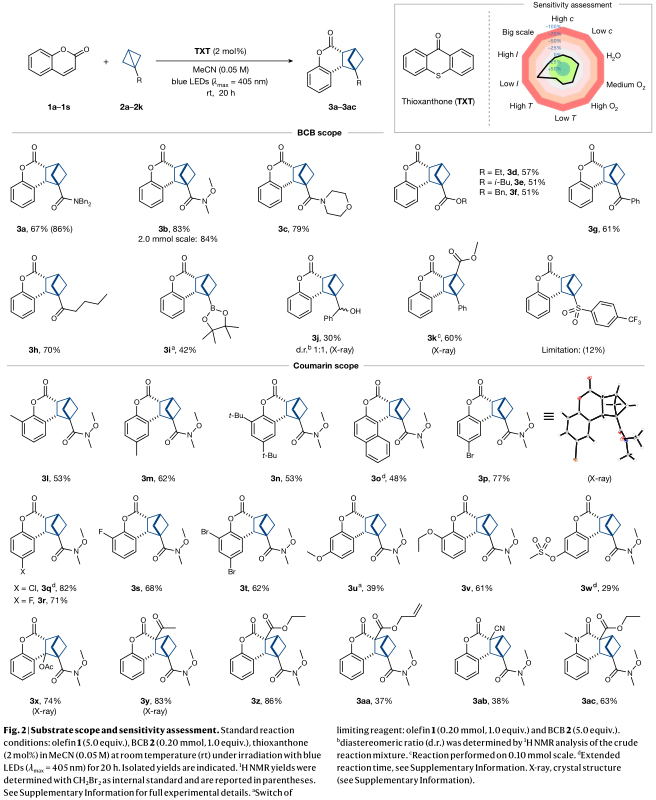 Triplet energy transfer makes intermolecular "2π+2σ"-photochemical ...