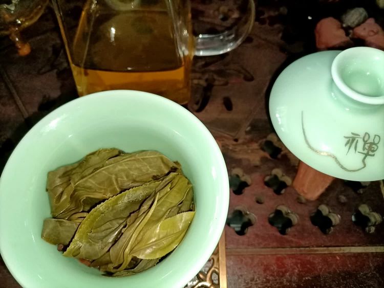 Tasting Nannuo Mountain Ancient Tree Tea - iNEWS