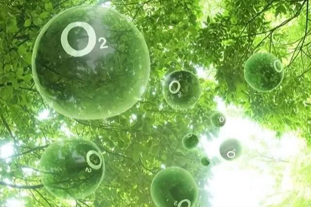Oxygen is the source of life - iNEWS