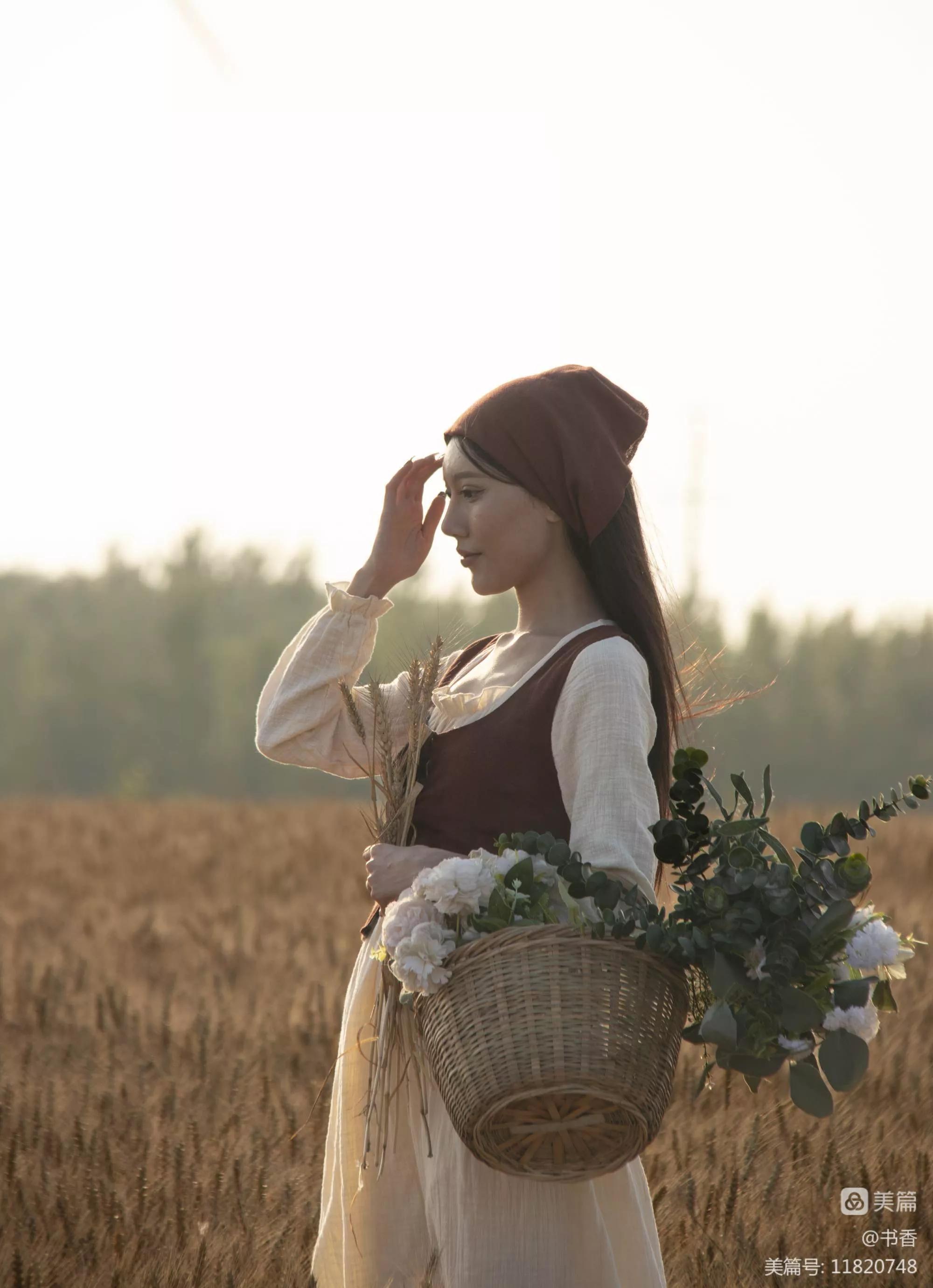 The story of the wheat field - iNEWS
