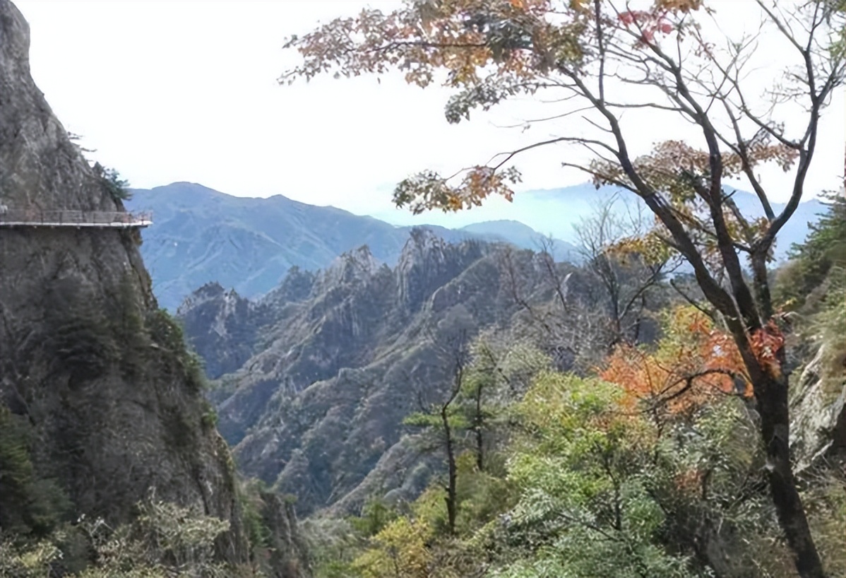 Yu Xiuhua: Goodbye Shennongjia (Poetry) - iNEWS