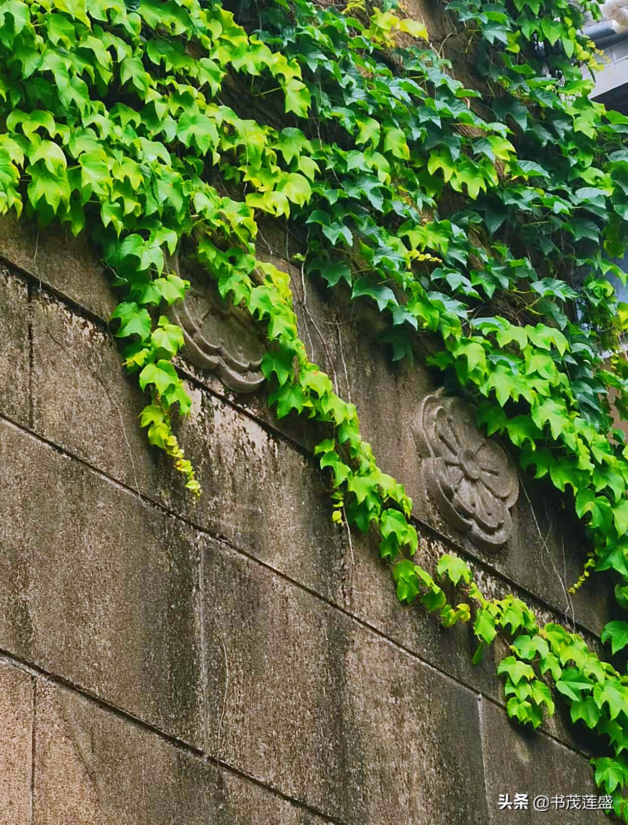 The end of the sky, the corner of the earth, Nanjing has a corner of ...