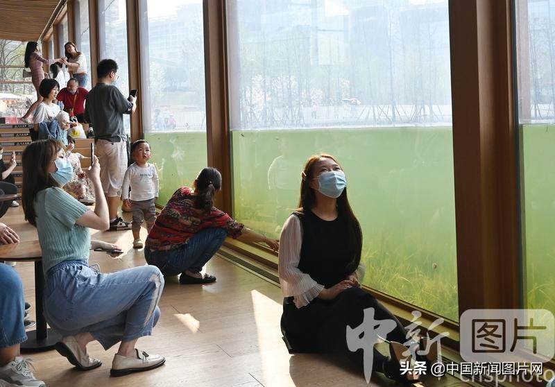 Chengdu: "Underwater" bookstore attracts people to check in - iNEWS