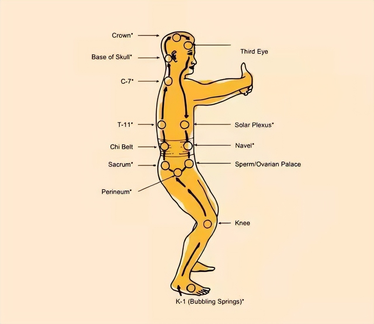 How the body strength of Neijiaquan transitions to the overall ...