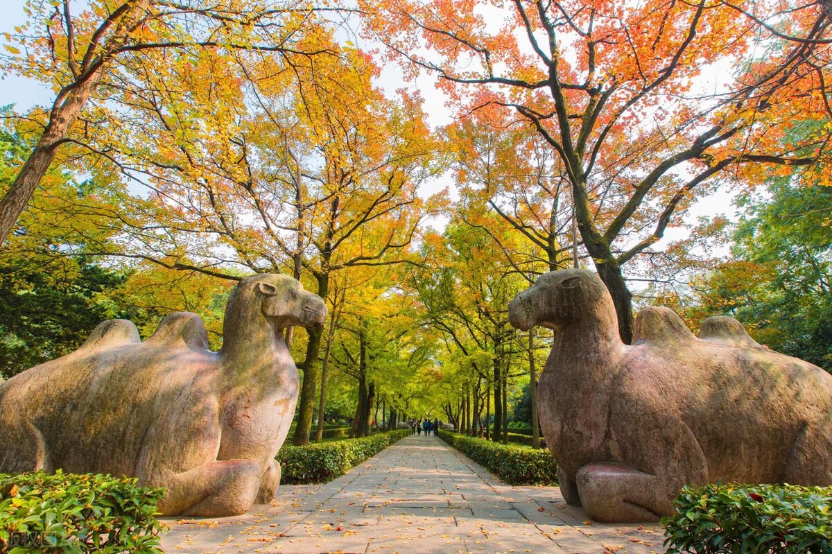 Appreciation and analysis of ancient Chinese mausoleum architecture - iNEWS