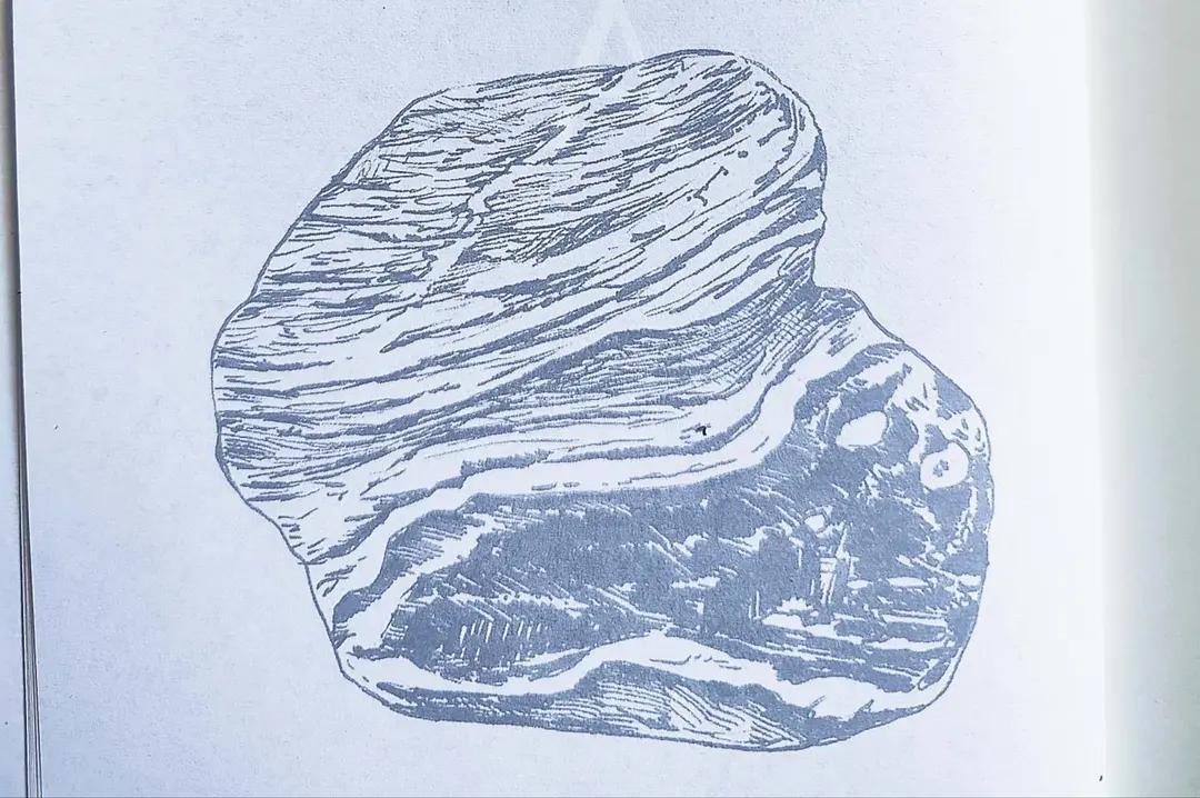 Geological Dictionary: Explore the mysteries of the 4.6 billion-year ...