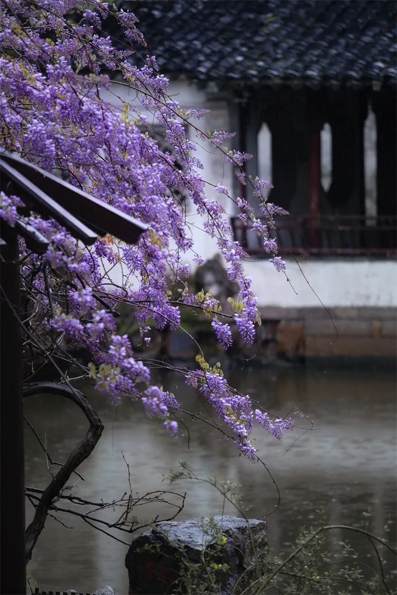 When spring is just right, go to the real Jiangnan! - iMedia