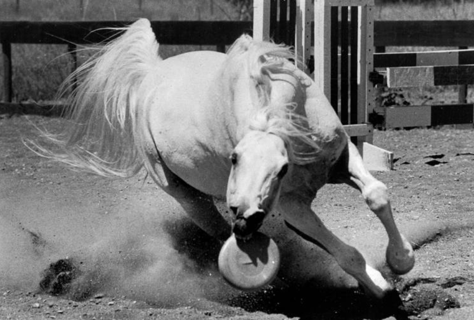 20 rare photos: tearful, funny, see which one is unforgettable? - iNEWS