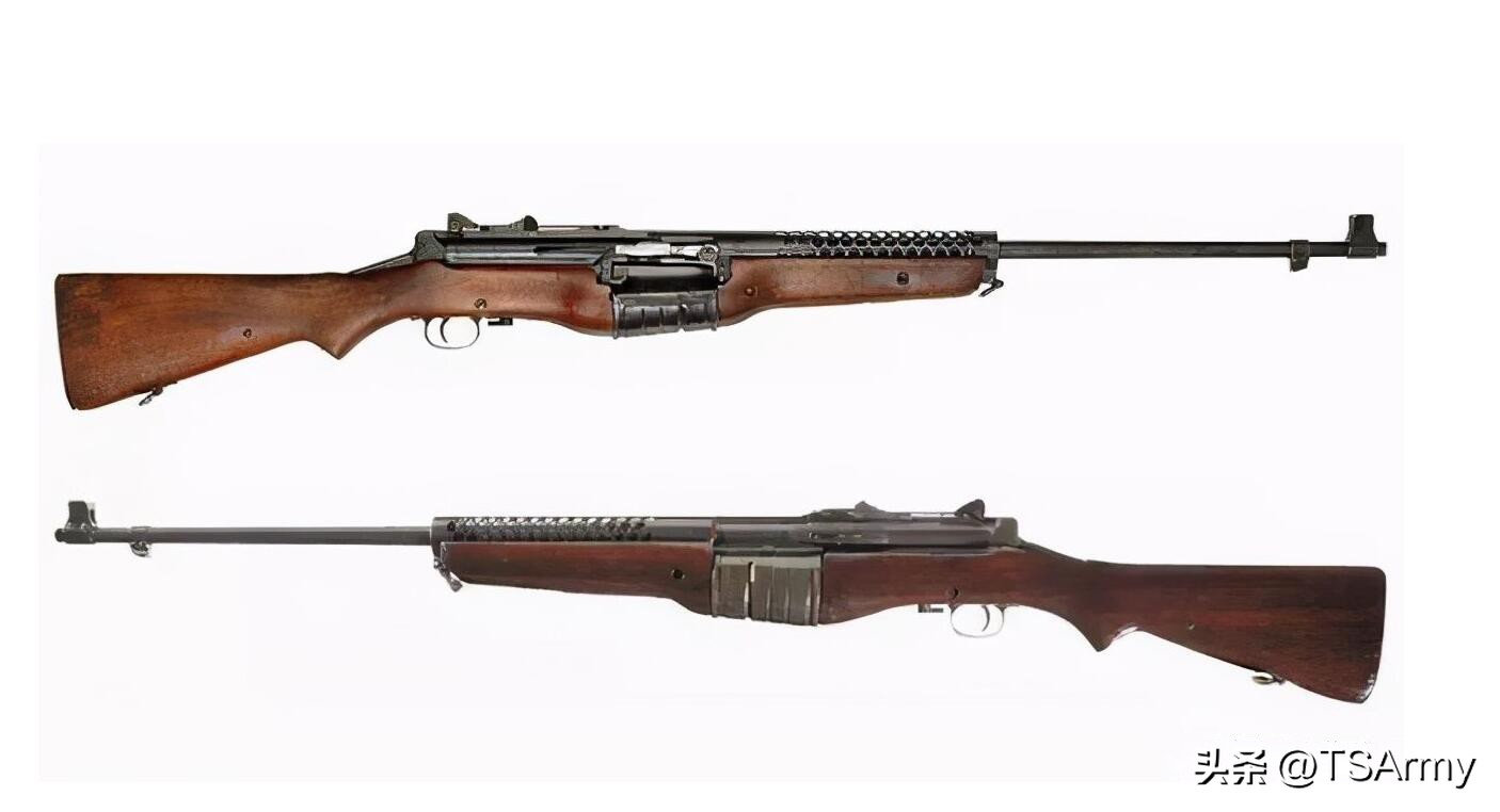 Inventory of 31 semi-automatic rifles in the world, most of which are ...
