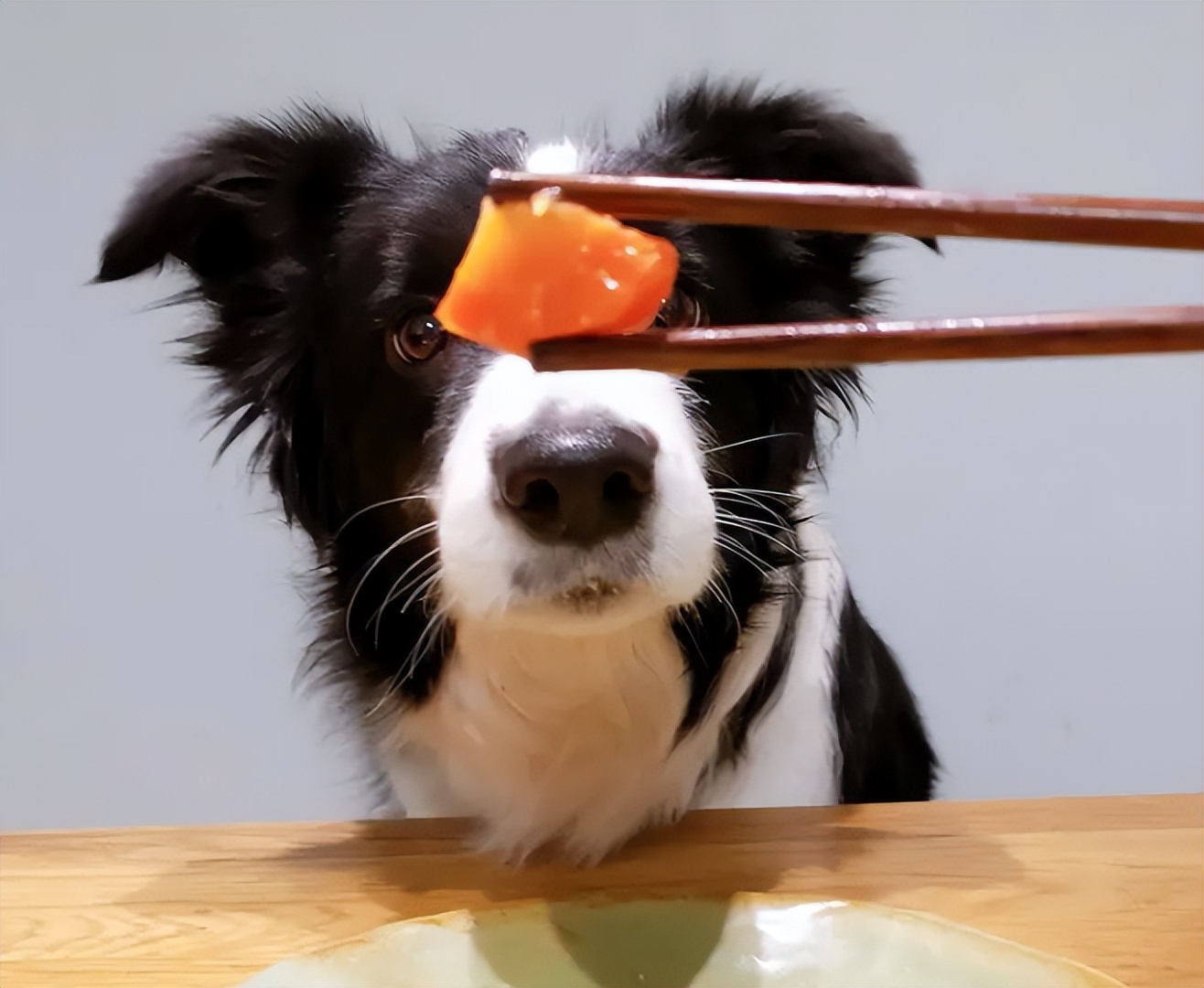 Bian Mu: Who is it?Taste so good chose me!Raising a dog means raising a ...