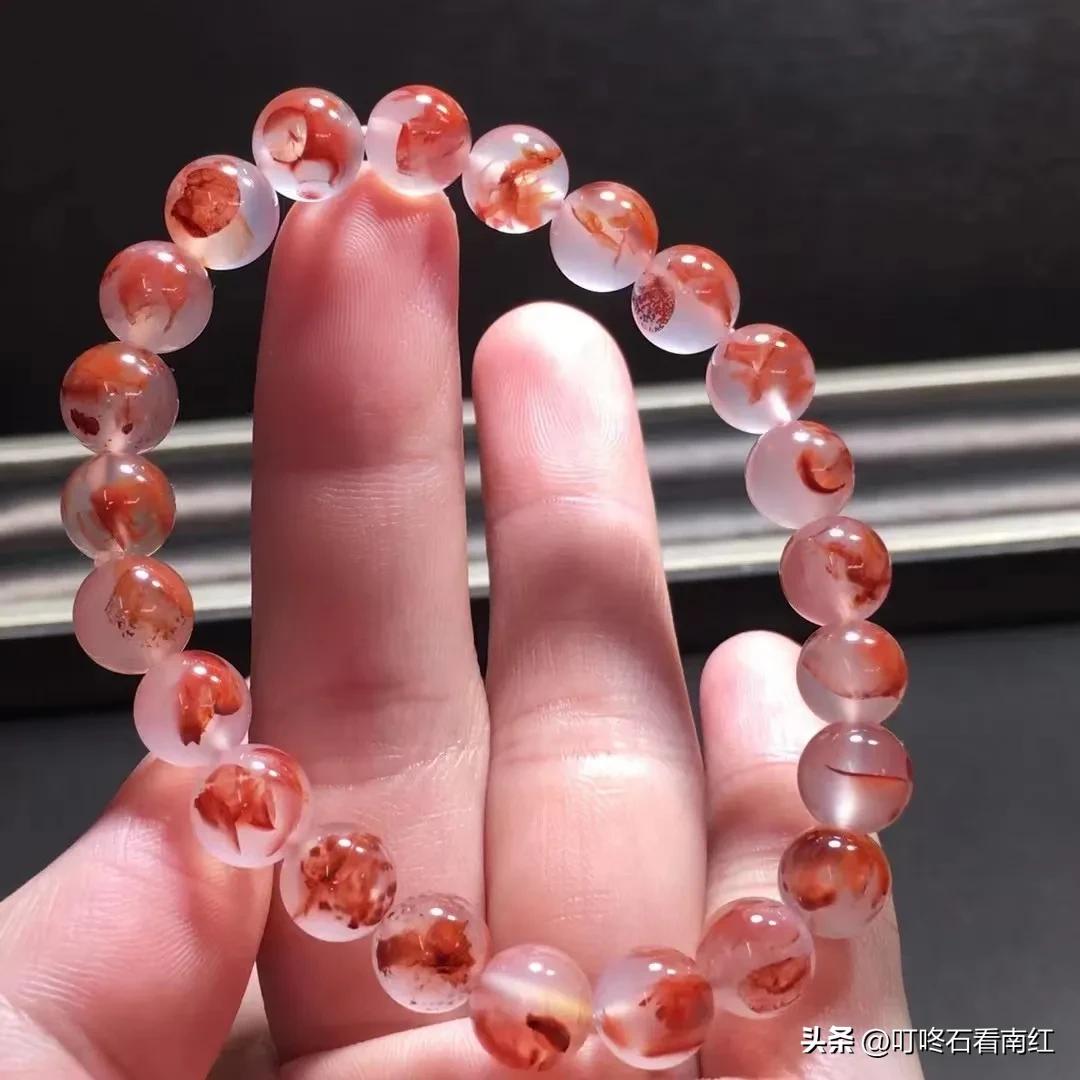 Dozens of groups of southern red agate can be photographed at will, and ...