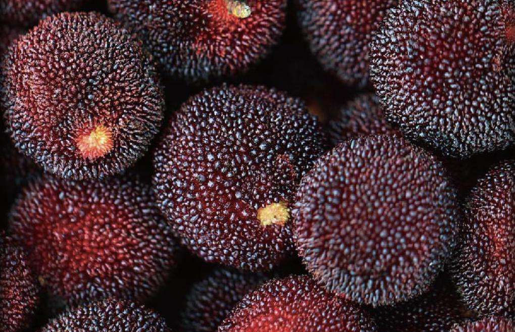 It's time for the fruit fairies to fight again - iNEWS