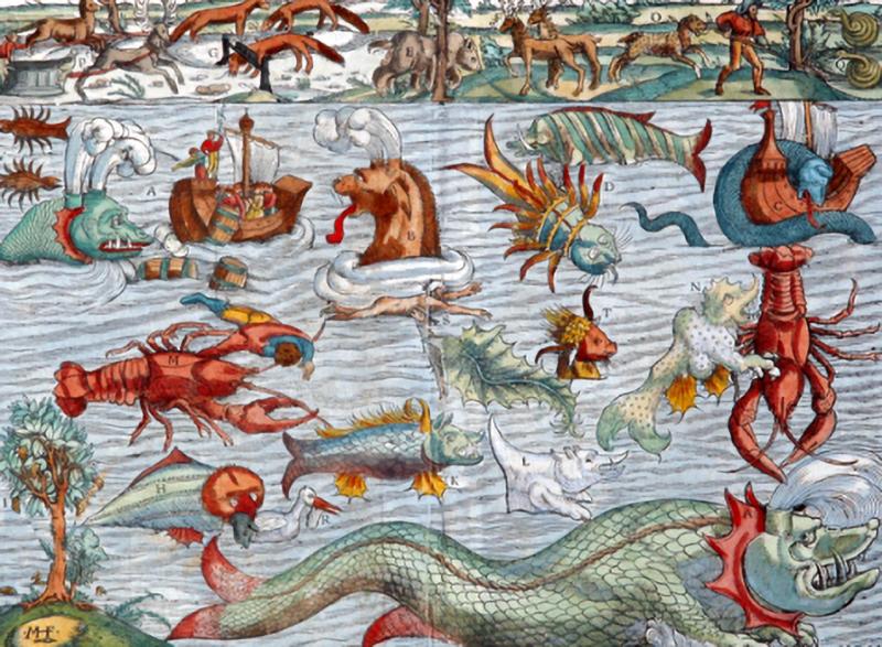 A must-have guide for getting lost in the ocean - iNEWS