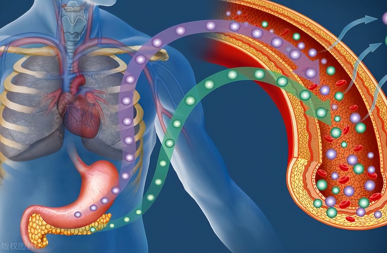 Authoritative research finds islet function reversal!British expert ...