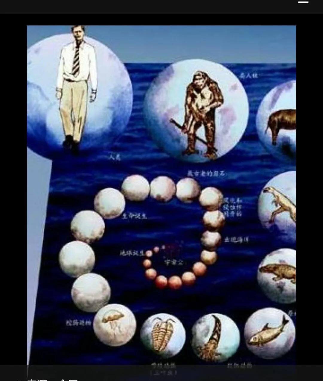 How did life originate?What are our ancestors? - iNEWS