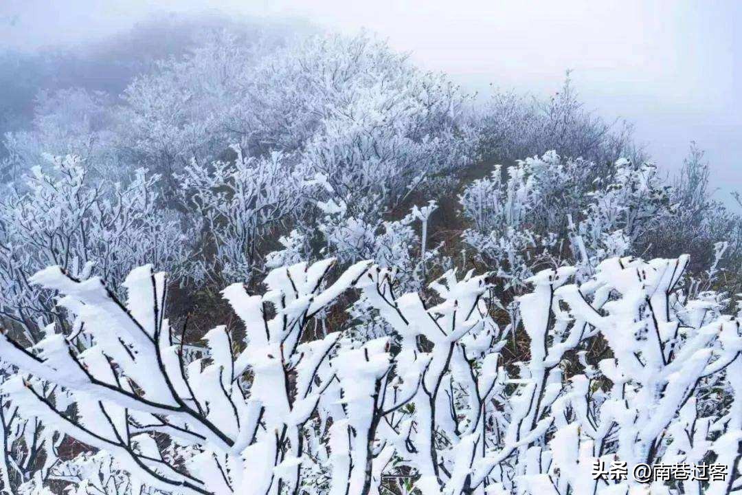 How cold was the Chinese winter three hundred years ago?The Ming ...