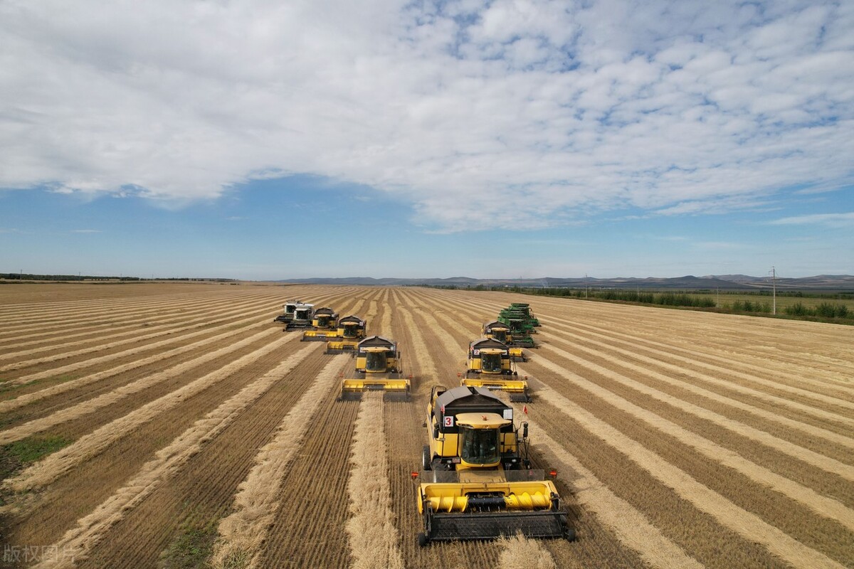 The United States asked China to release strategic grain reserves to ...