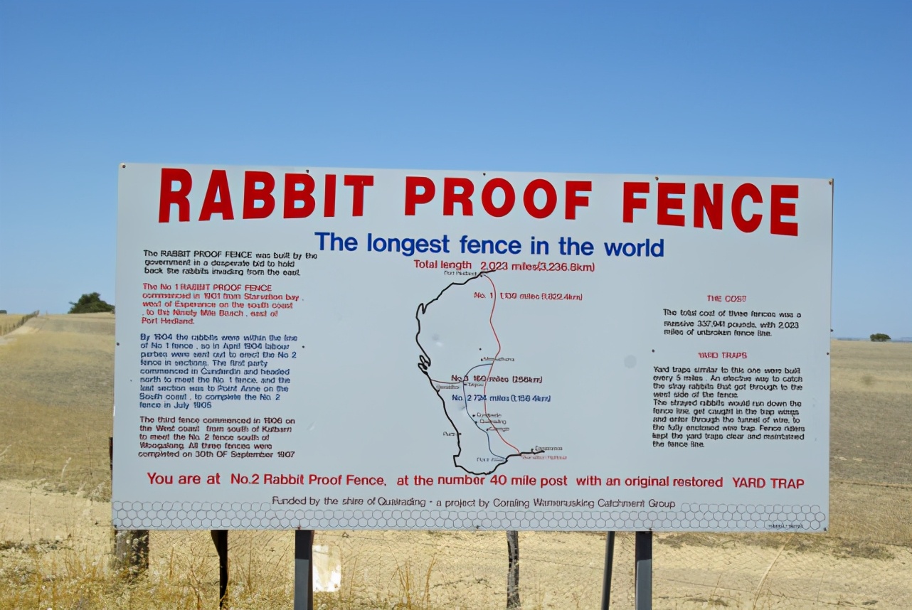 The Rabbit-Human War lasted for 150 years. Australia was defeated and ...