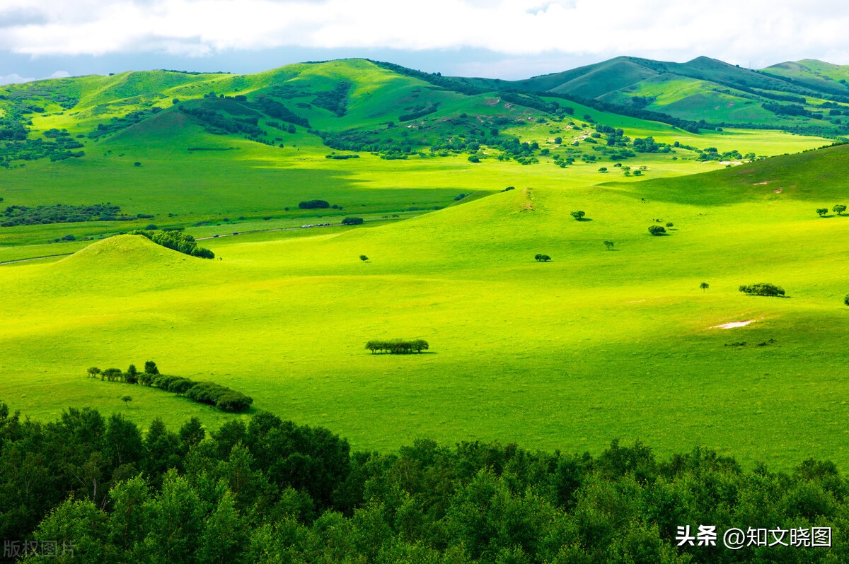 Which is fun, Zhangbei Grassland or Ulan Butong Grassland? The further ...