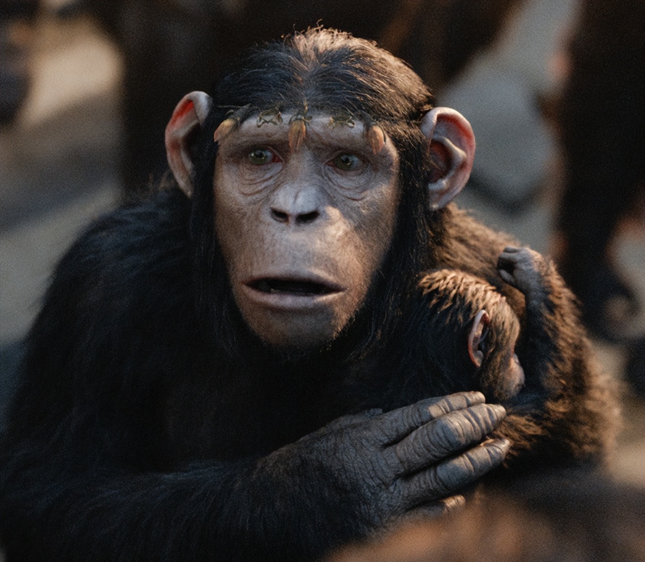 Rise of the Planet of the Apes: Caesar is home - iMedia