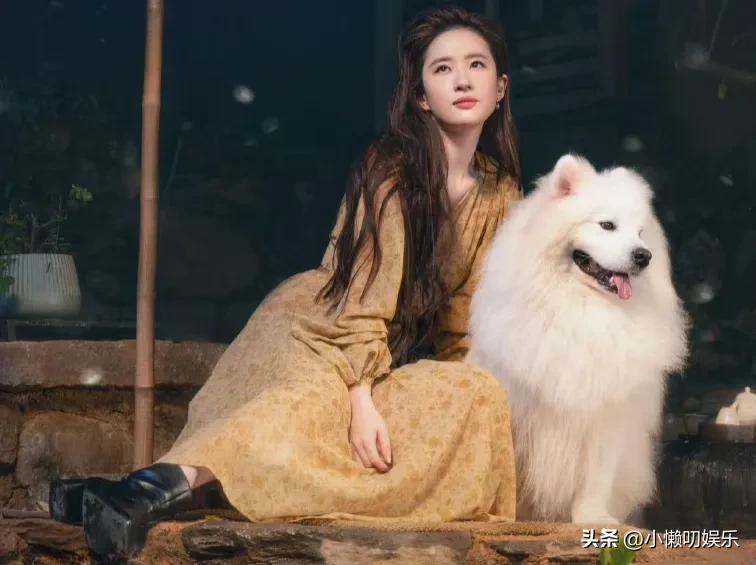 [Go to a windy place]: Four heroines, four endings, Xu Hongdou's ending ...