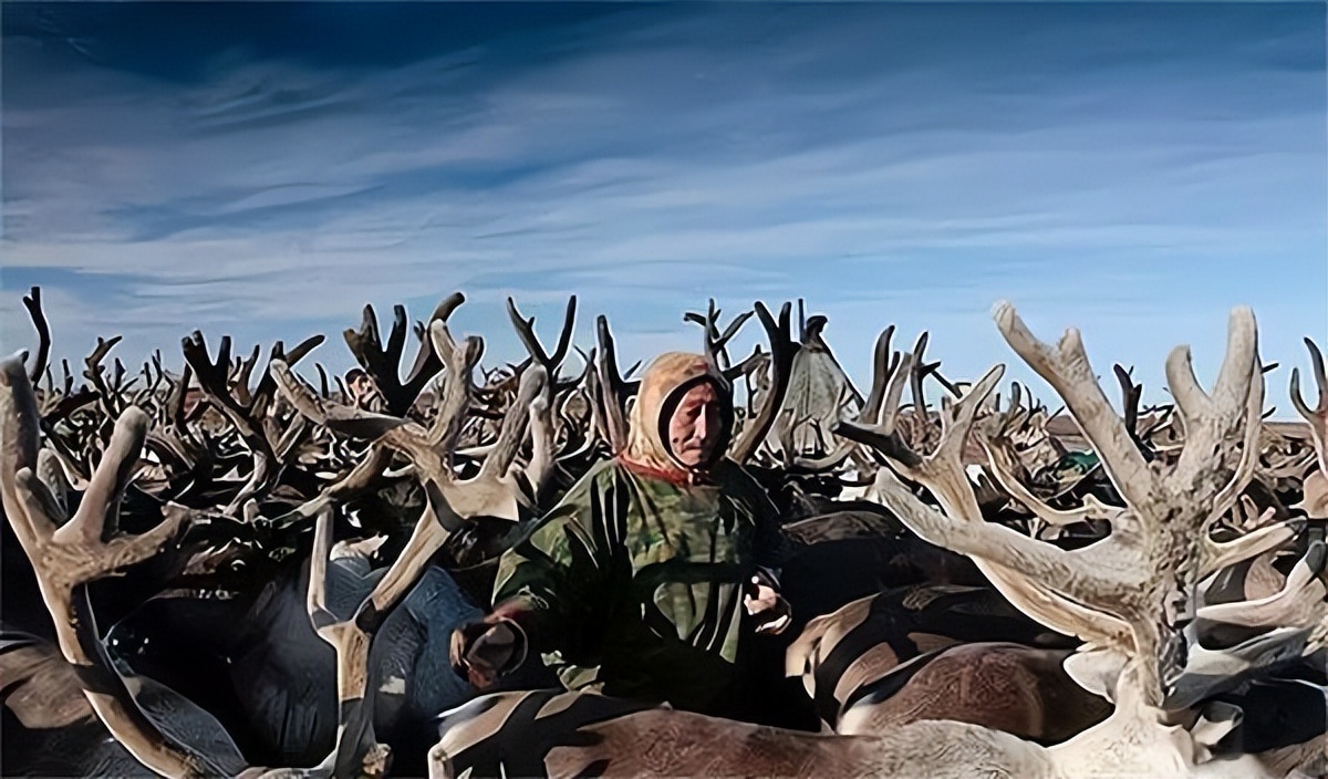 How was the frontier and end of northeastern Siberia conquered by ...