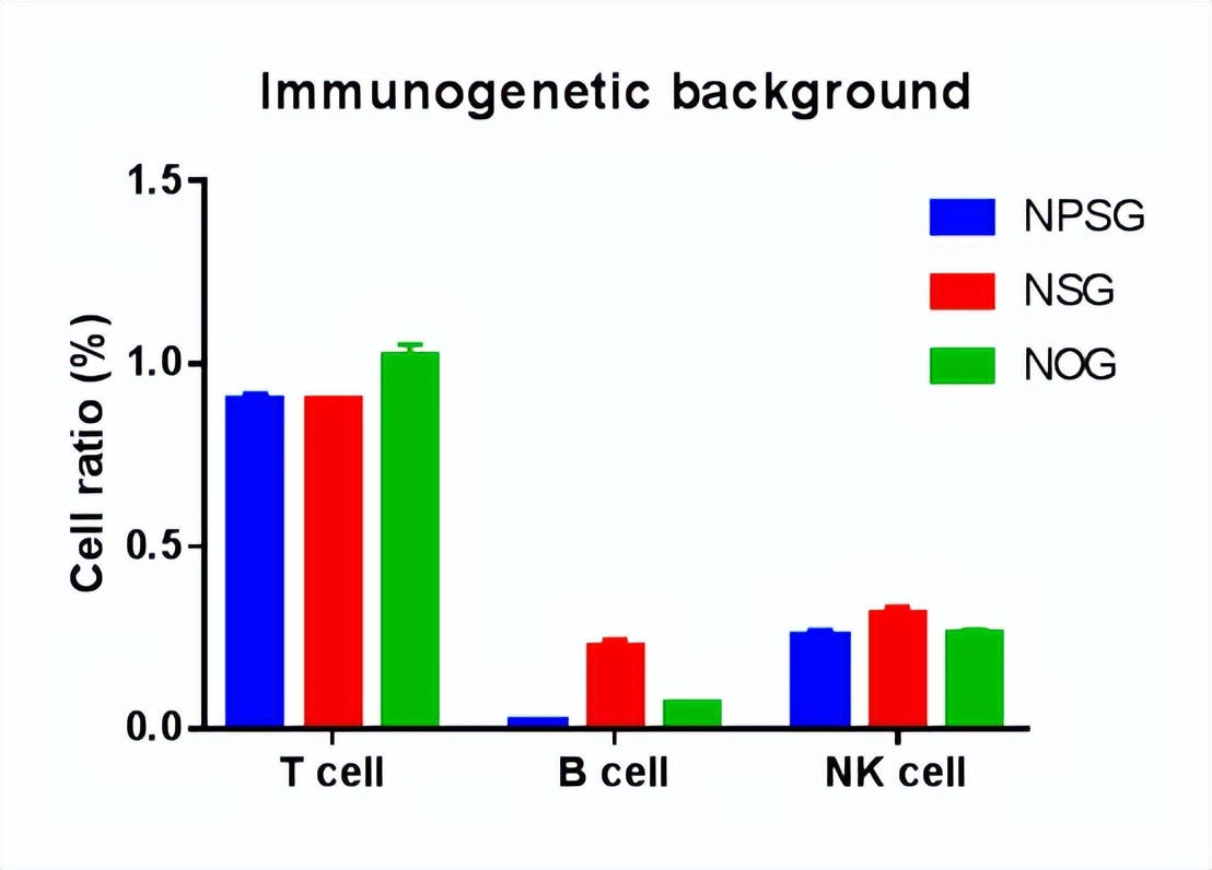 Injurious model organism: NIG severe combined immunodeficiency mice ...