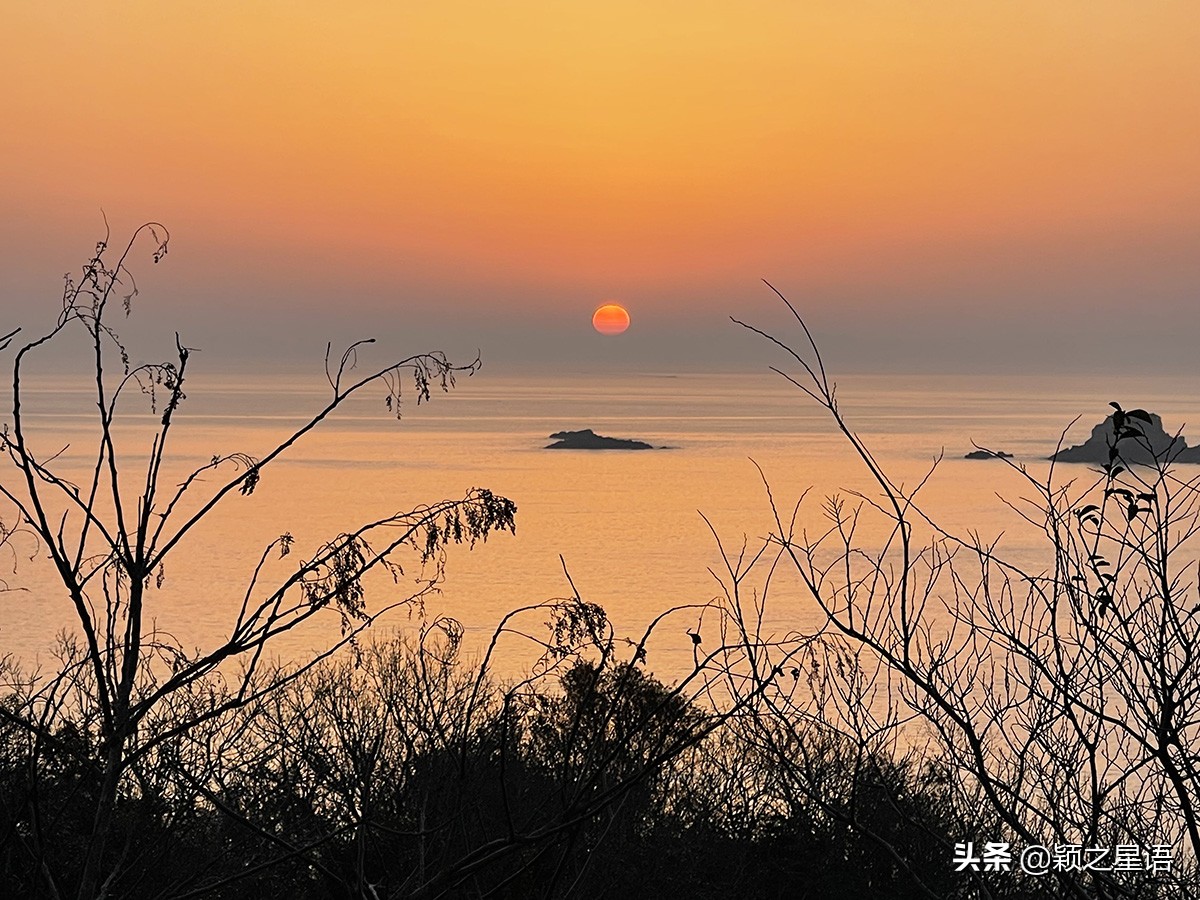 In the waters of Xiangshan, after the whale was stranded, another ...