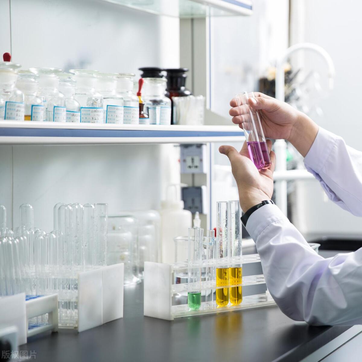 Simple staining experiment method for bacteria! - iMedia