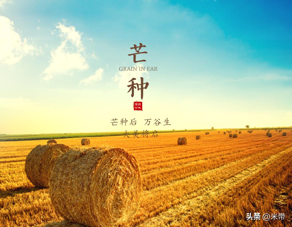 Traditional Customs of Grain Grain Season: Sacrifice, Dragon Boat and ...