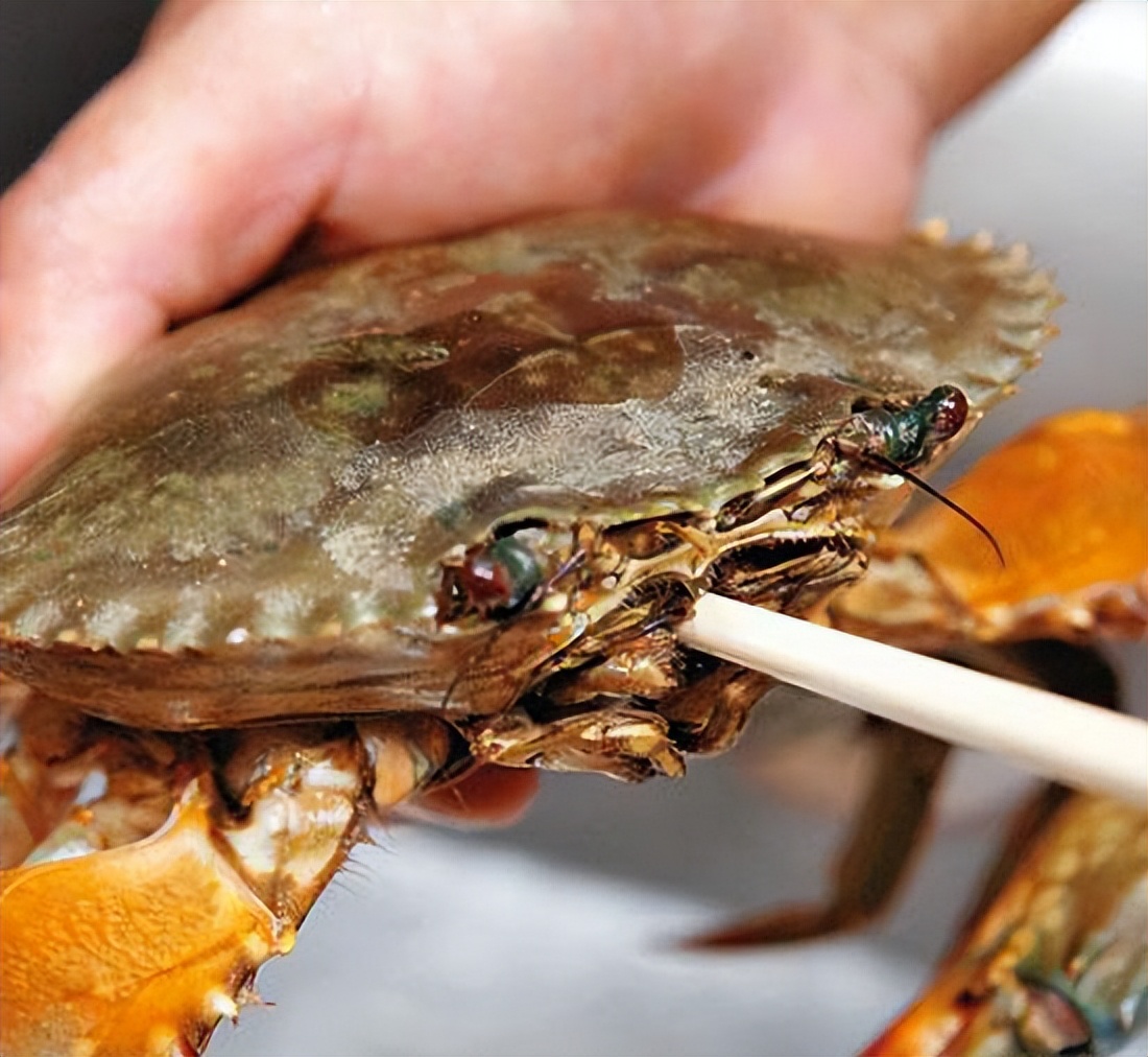 In addition to steaming mud crabs, there are many ways to do it. Let's ...