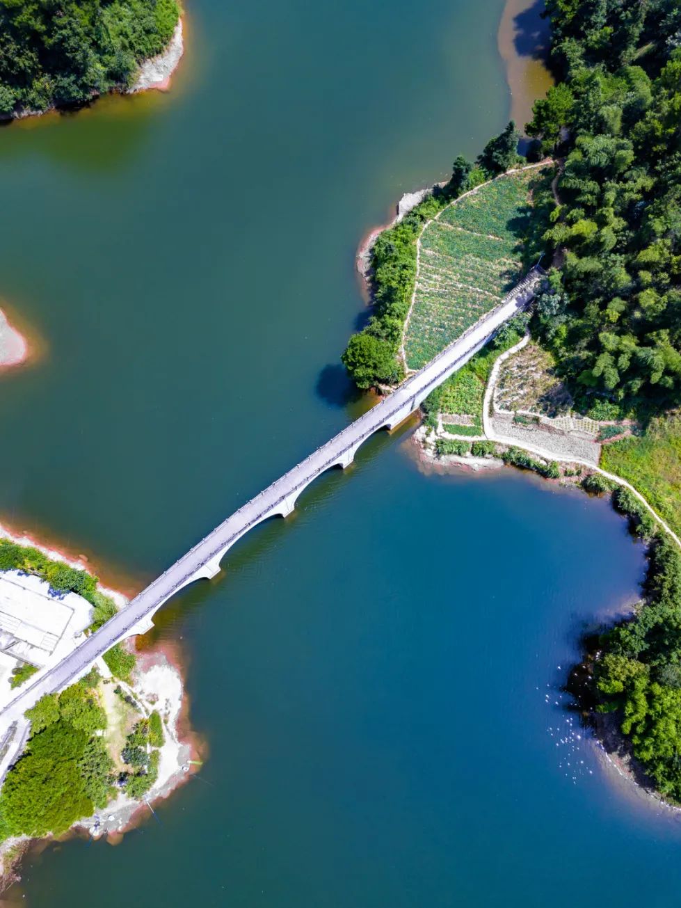 40℃+!I also got these cool places like Qijiang to "hide and hide" → - iNEWS