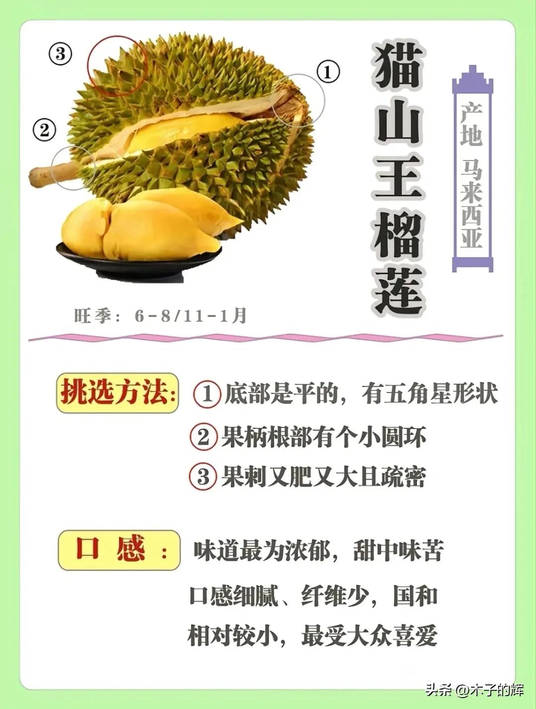 Common Durian Selection Guide - iNEWS