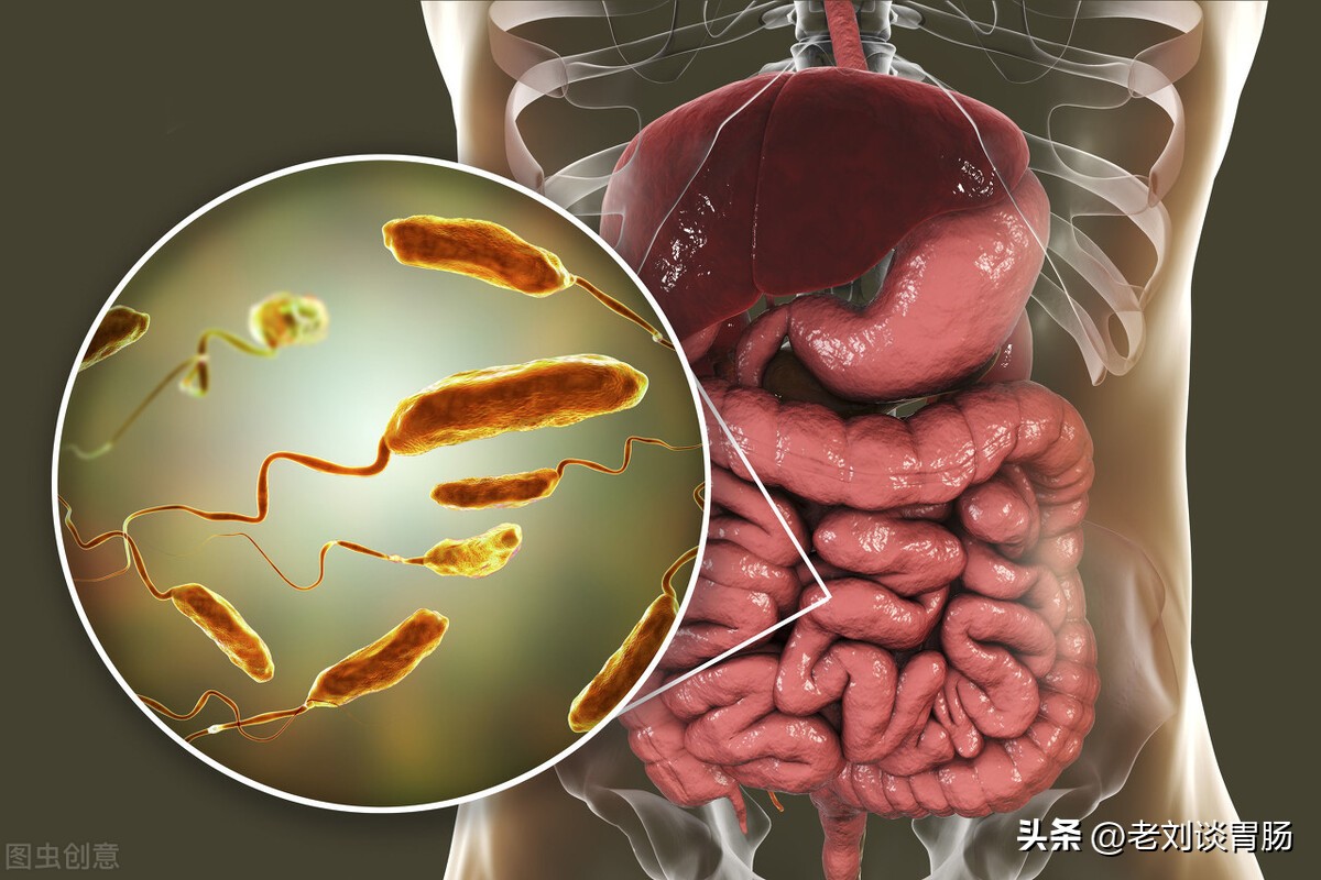 Small Intestinal Bacterial Overgrowth - iNEWS