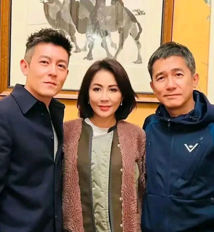 25-year-old Cheng Xiao positively responded to the rumors: It was outrageously fake, and the ...