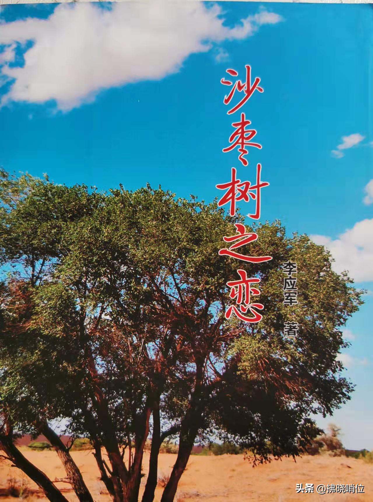 Li Yingjun: Love of the Jujube Tree - iNEWS