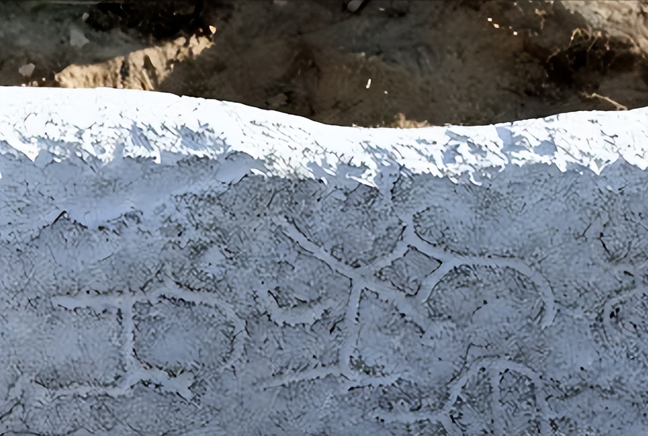 What is the significance of the origin and evolution of Turkic language ...