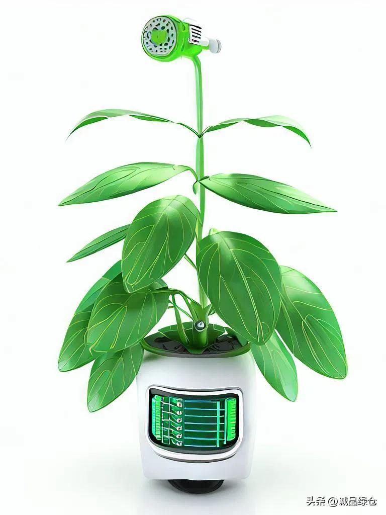 Plant Robot: A Wonderful Creation That Talks, Listens, and Sings - iMedia