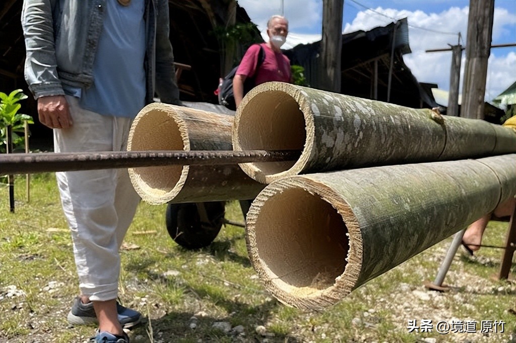 Three Stages of Turning Bamboo into a Reliable Bamboo Building Material ...