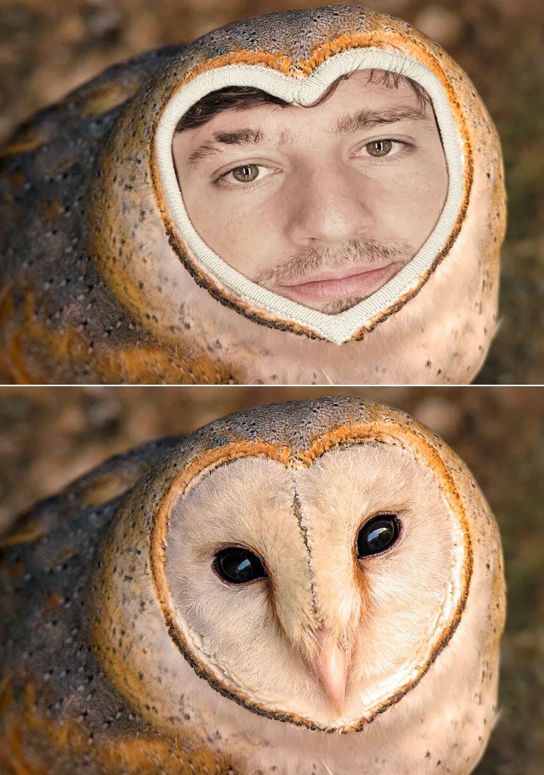 Charlie Puth has a cute look, a bit like an owl - iNEWS