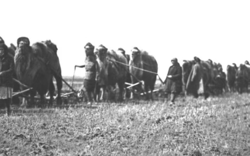 Embarrassing Kazakhstan's "de-Russianization": After tossing around, it ...