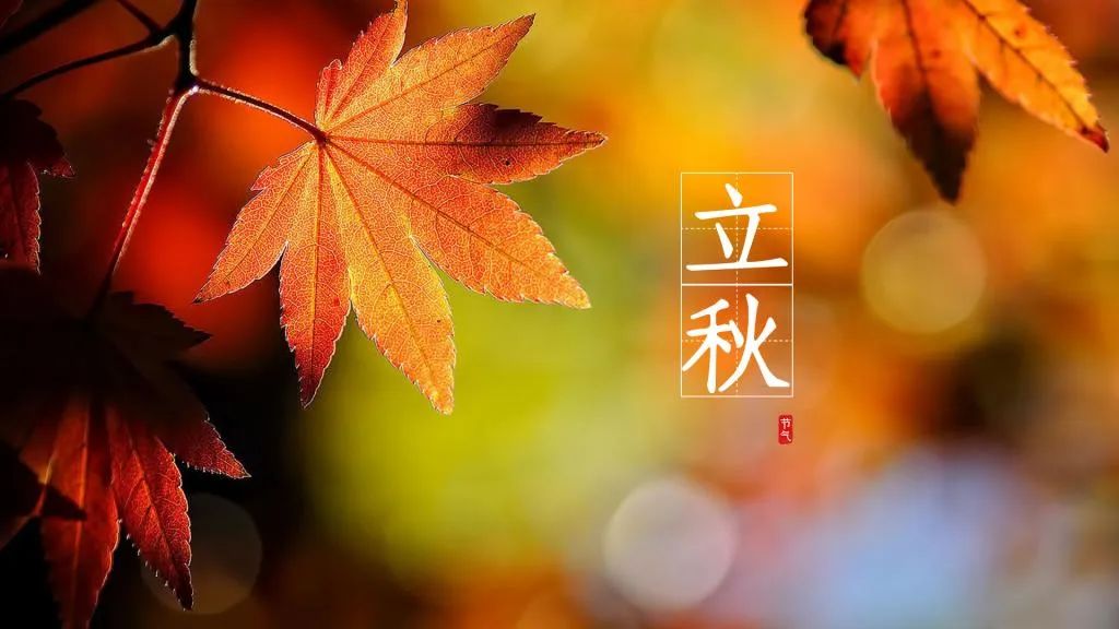 How much do you know about the little customs of the beginning of ...