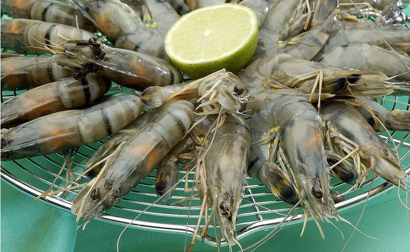The seafood you bought is not fresh?It must be because I don't know ...