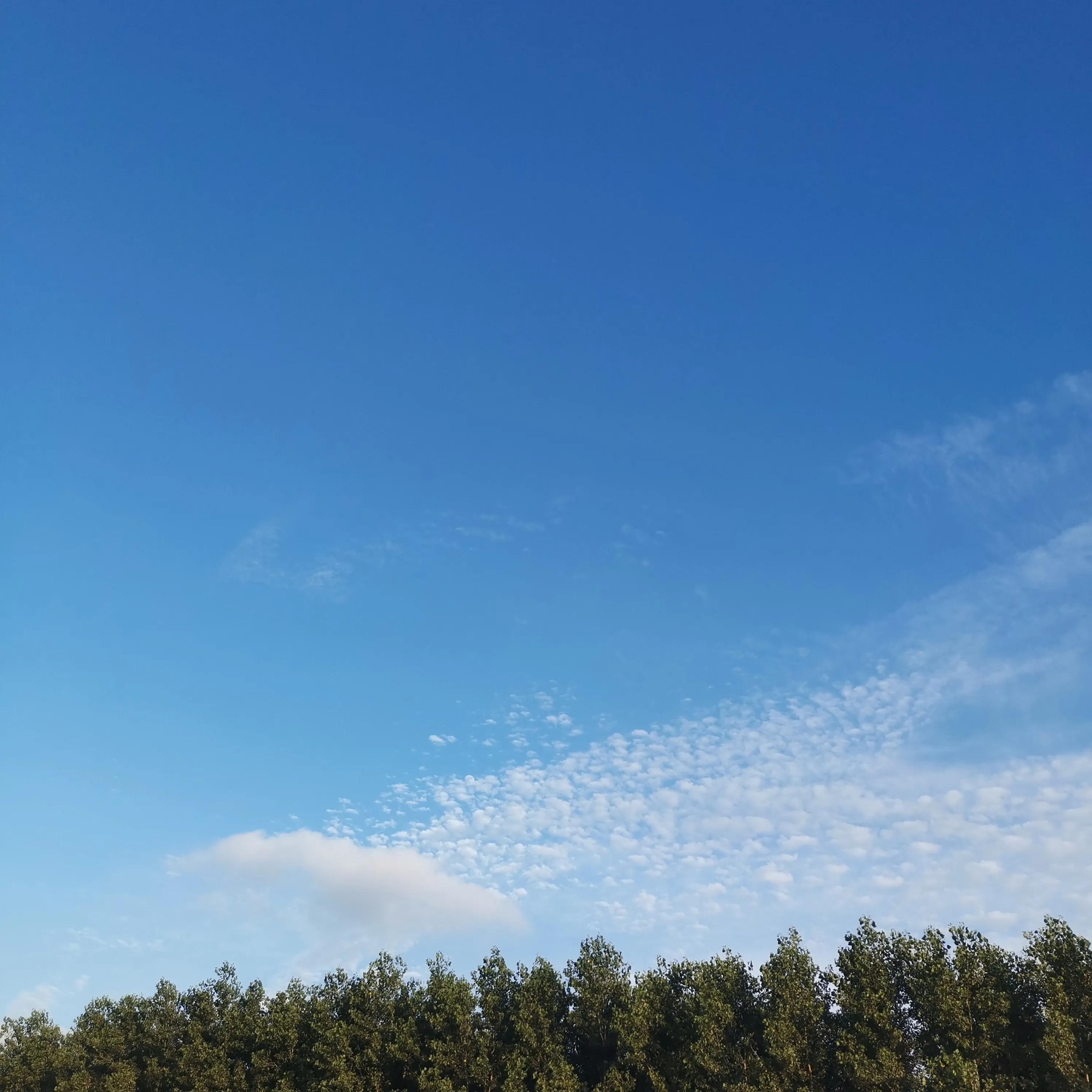 summer wind, summer rain - iNEWS