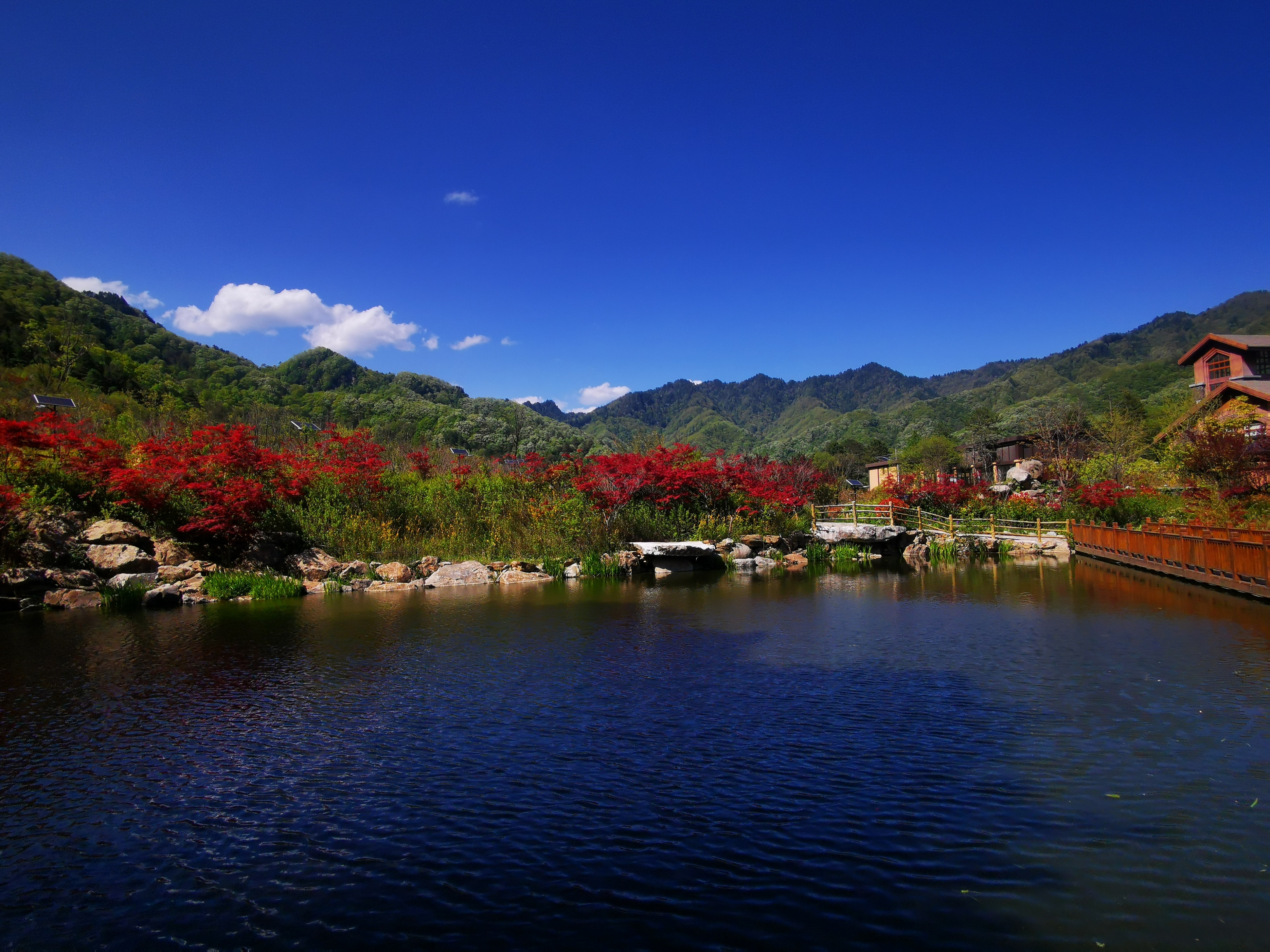 The stunning beauty hidden deep in the Qinling Mountains, the maple ...