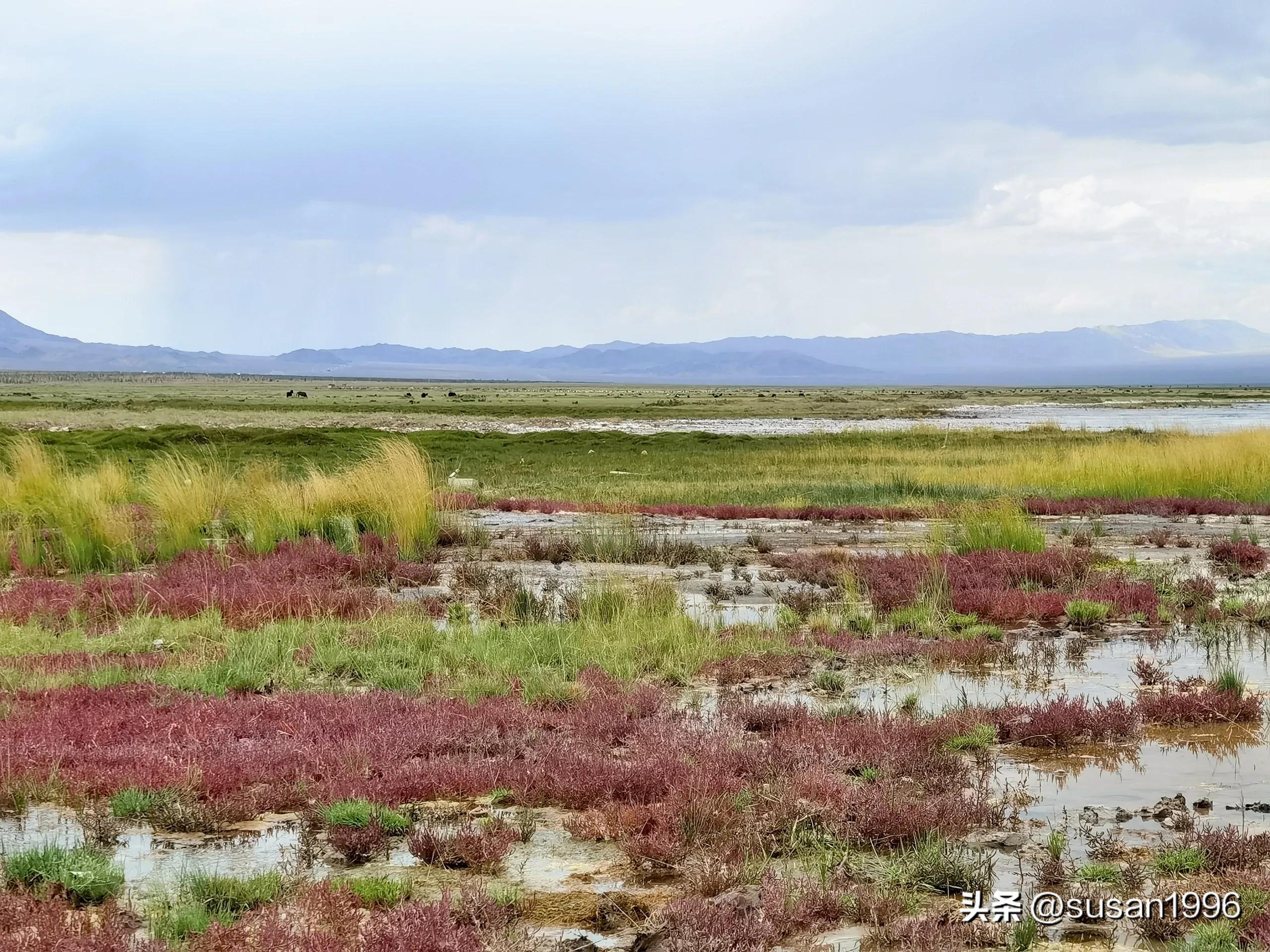 West Sichuan and Xinjiang Tour (Day 16) The city at the foot of the ...