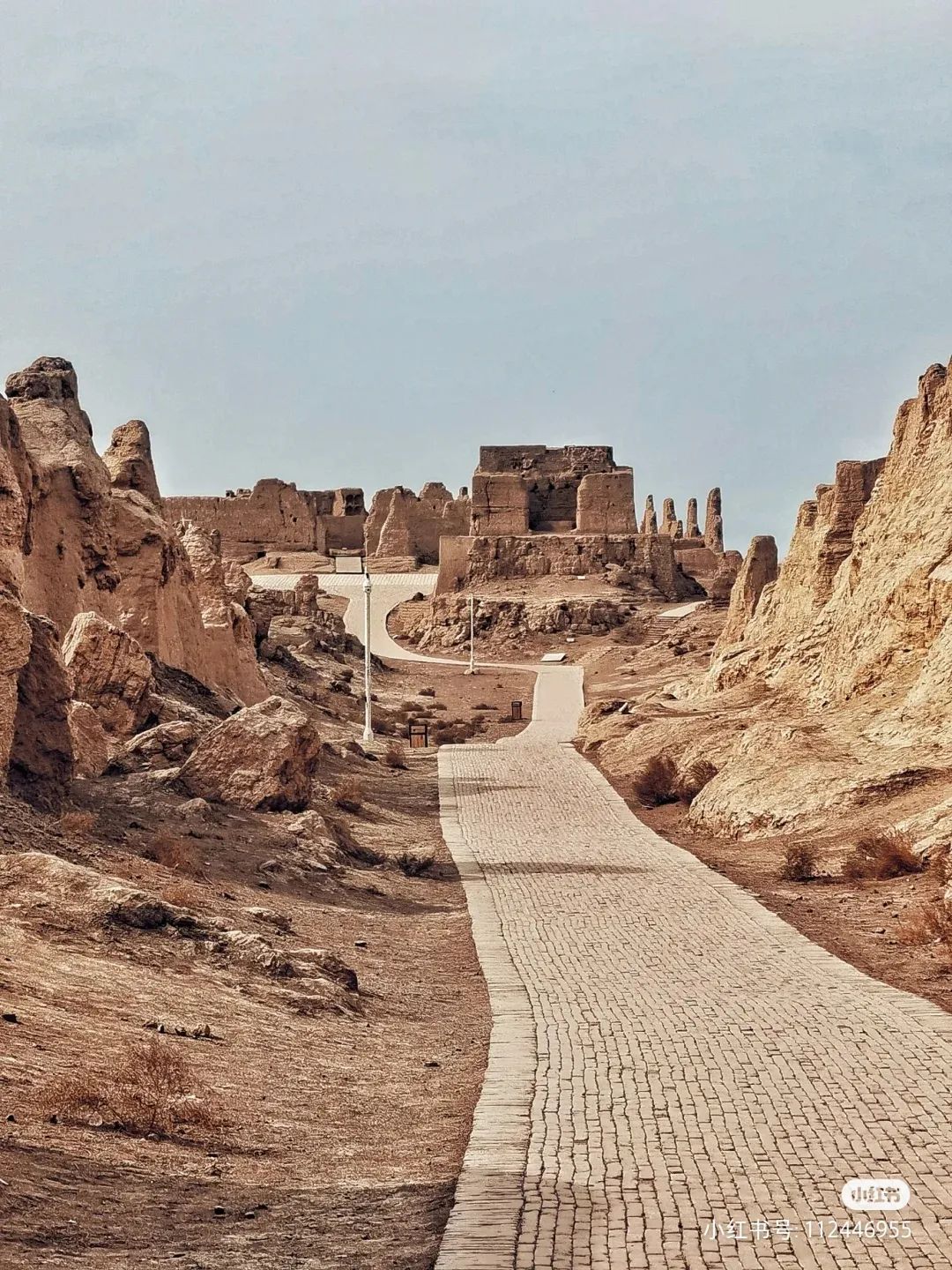 Turpan, you have become a real "Fire Island" - iMedia