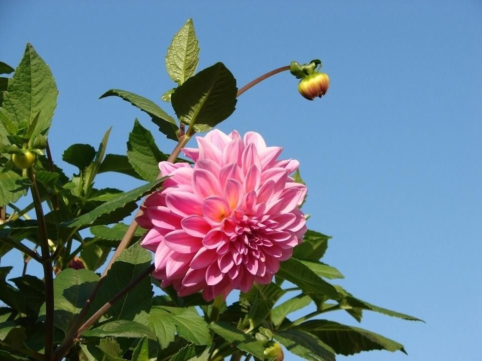 May: Hang in there, everything will be fine! - iMedia